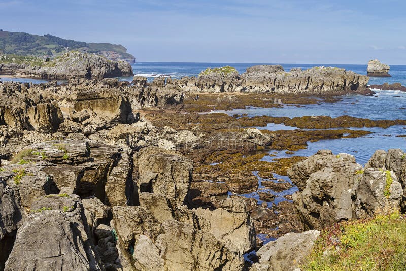 Noja coast stock image. Image of scenic, coast, beautiful - 259162301