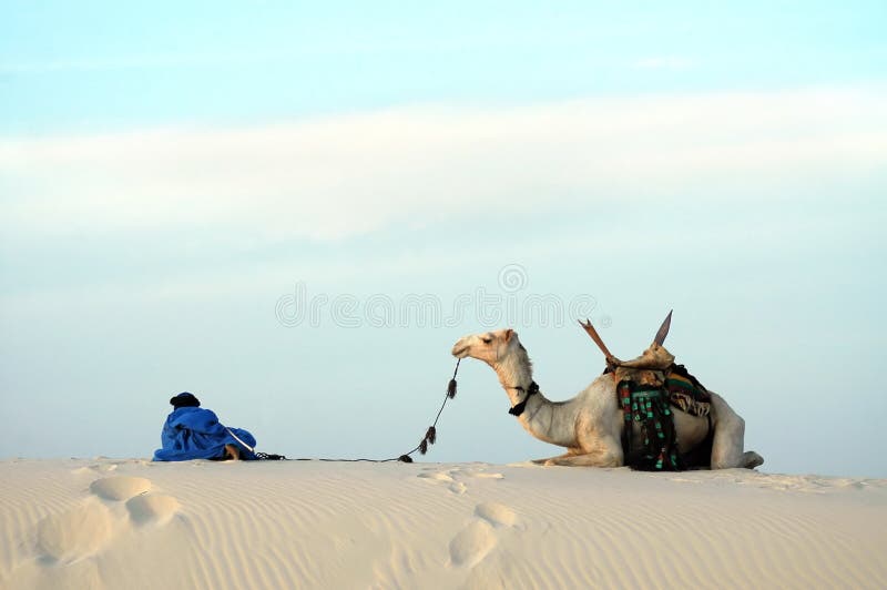 Nomad and Camel on a Sand Dune Stock Image - Image of animal, mali ...