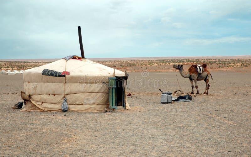 Nomad Tent and Camel stock photo. Image of asia, arid - 4572828