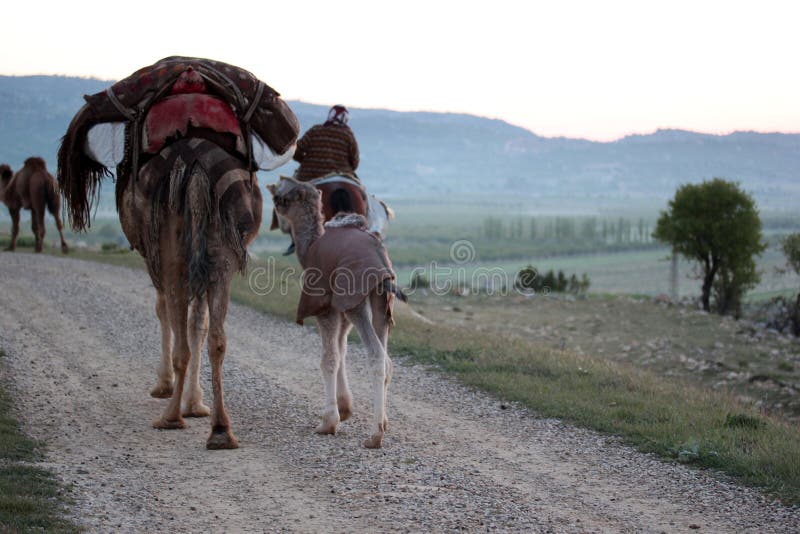 Nomadic people stock photo. Image of middle, nomadic - 188789270