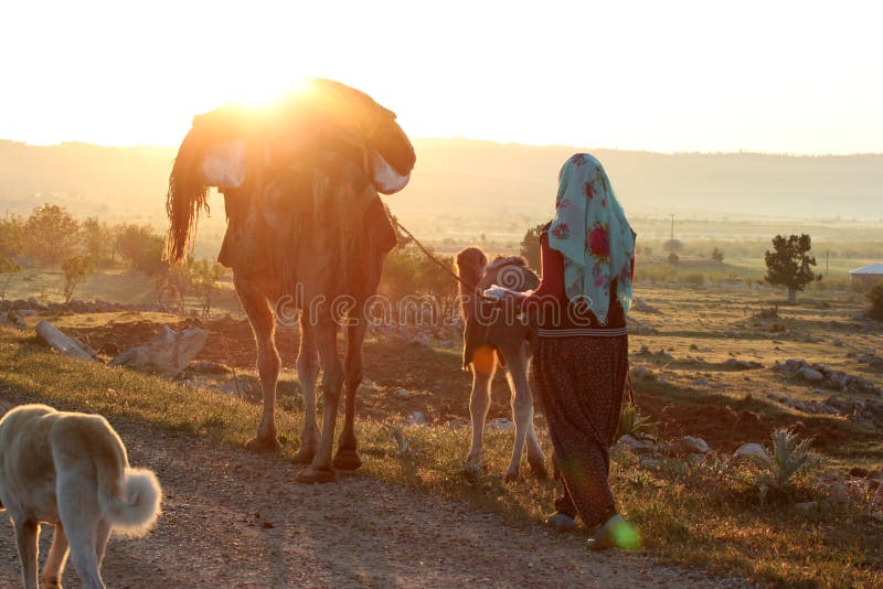 Nomadic people stock image. Image of carpet, tradition - 669853