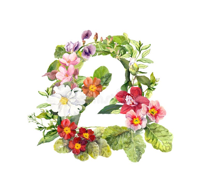Nombre Floral 2 - Deux Des Fleurs Couleur D'eau Illustration Stock ...