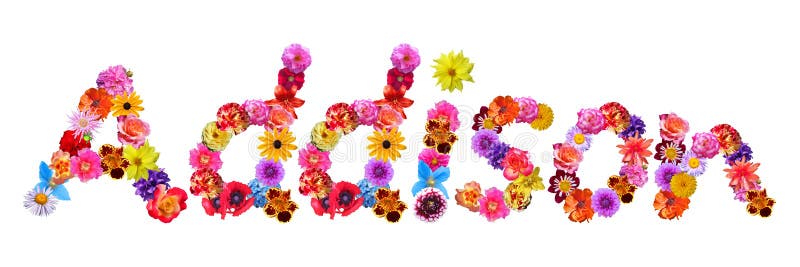 Nome Addison das flores ilustração stock. Ilustração de personalizar ...
