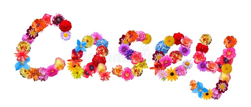 Nome Casey dei fiori illustrazione di stock. Illustrazione di colore ...