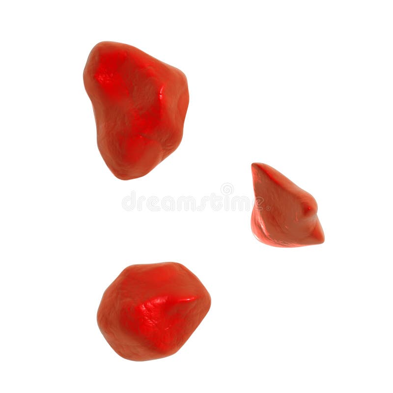 Non-activated Platelets, Thrombocytes Stock Illustration - Illustration ...