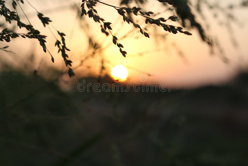 Non edit stock image. Image of edit, screen, saver - 77930189