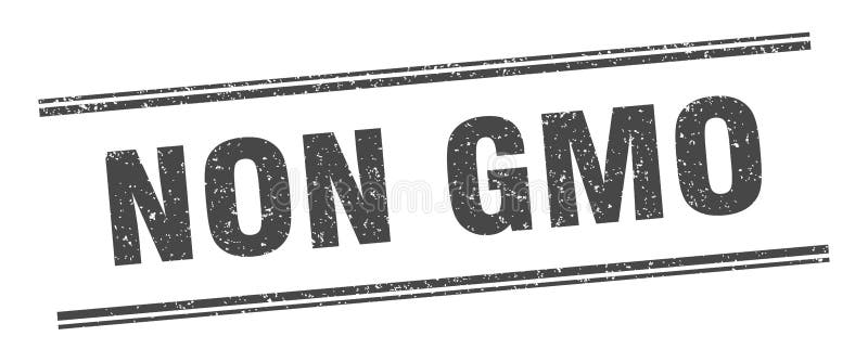 Non Gmo Stamp. Non Gmo Square Grunge Sign Stock Vector - Illustration ...
