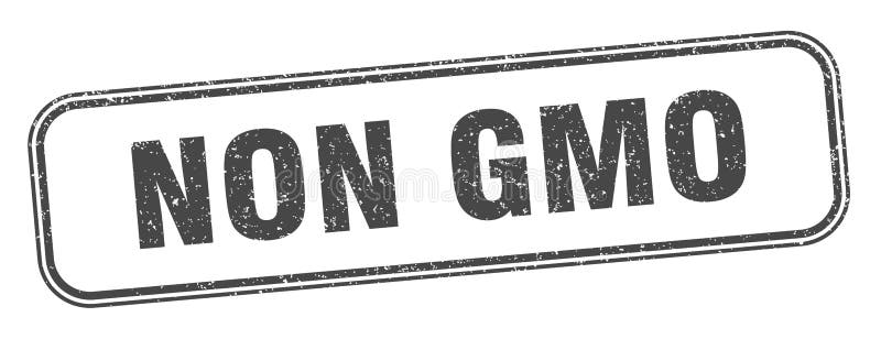 Non Gmo Stamp. Non Gmo Square Grunge Sign Stock Vector - Illustration ...