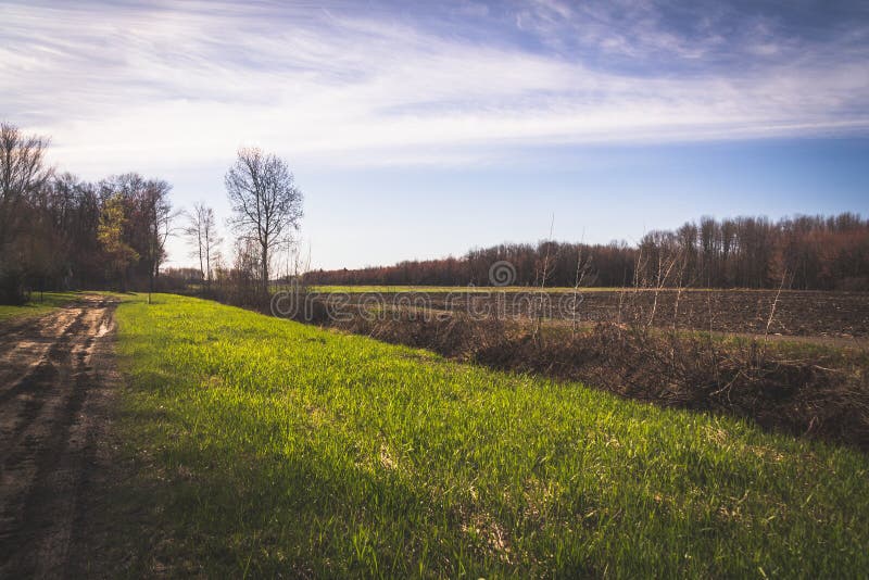 Non-urban Country Landscape Stock Photo - Image of country, morning ...
