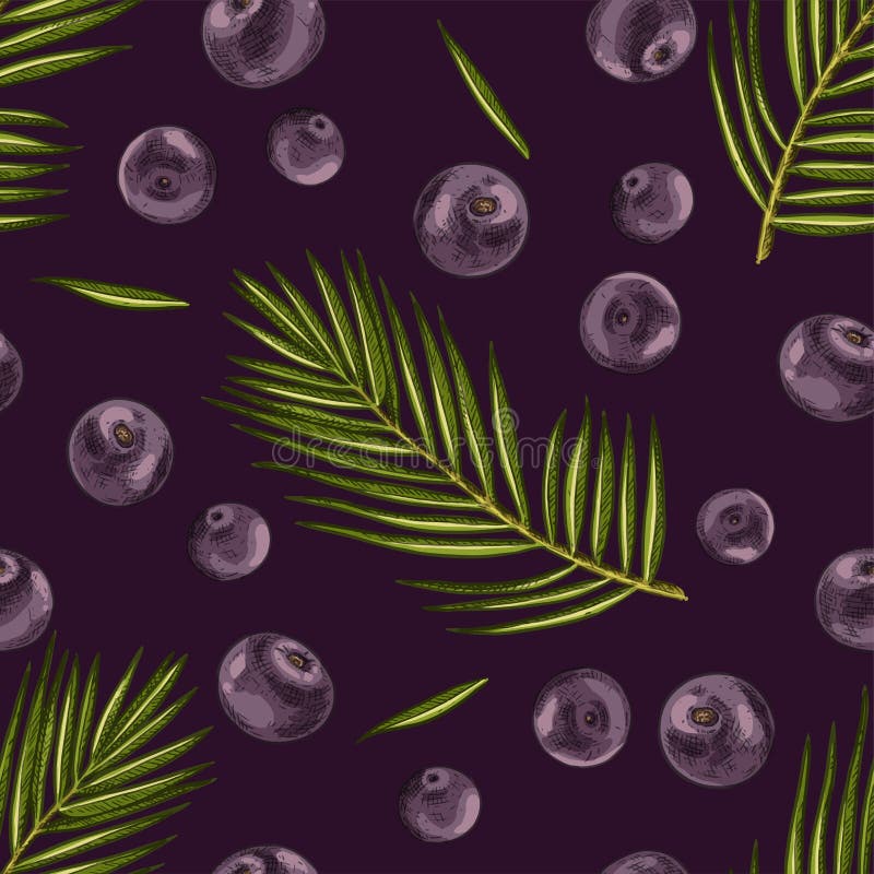 Hand Drawn Colorful Acai. Seamless Pattern of Acai with Leaves and ...
