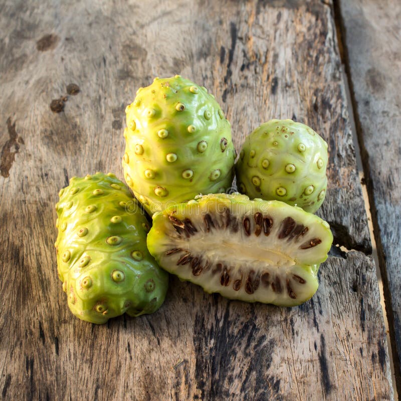 Noni - Fruit stock photo. Image of culture, living, green - 95210080