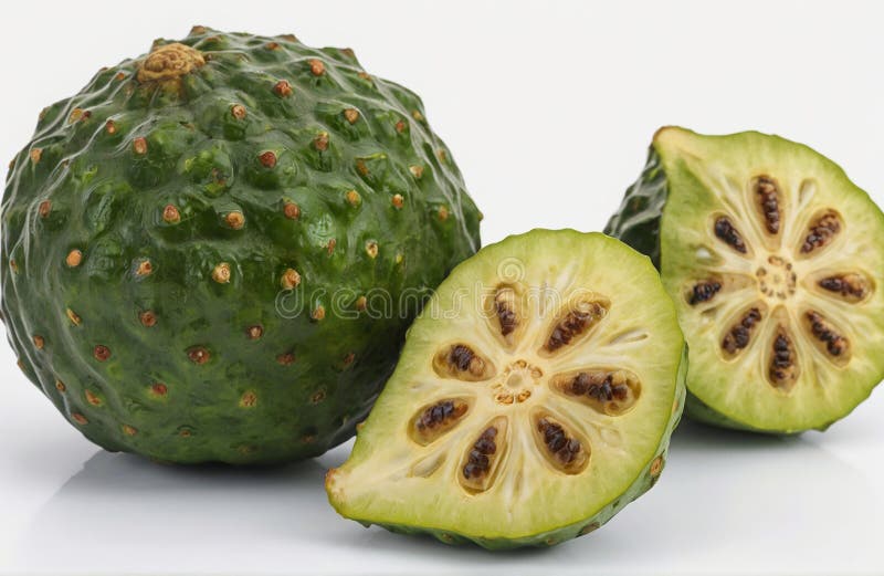 Noni Fruit Stock Illustrations – 373 Noni Fruit Stock Illustrations ...