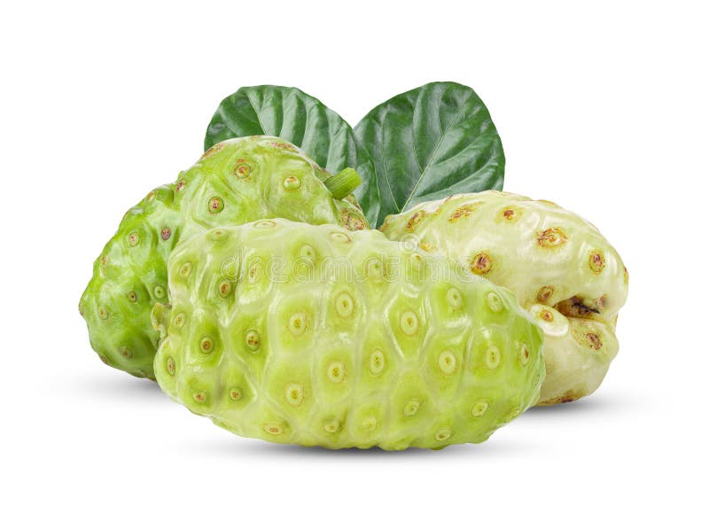 Noni Fruit with Leaf on White Background Stock Image - Image of healthy ...