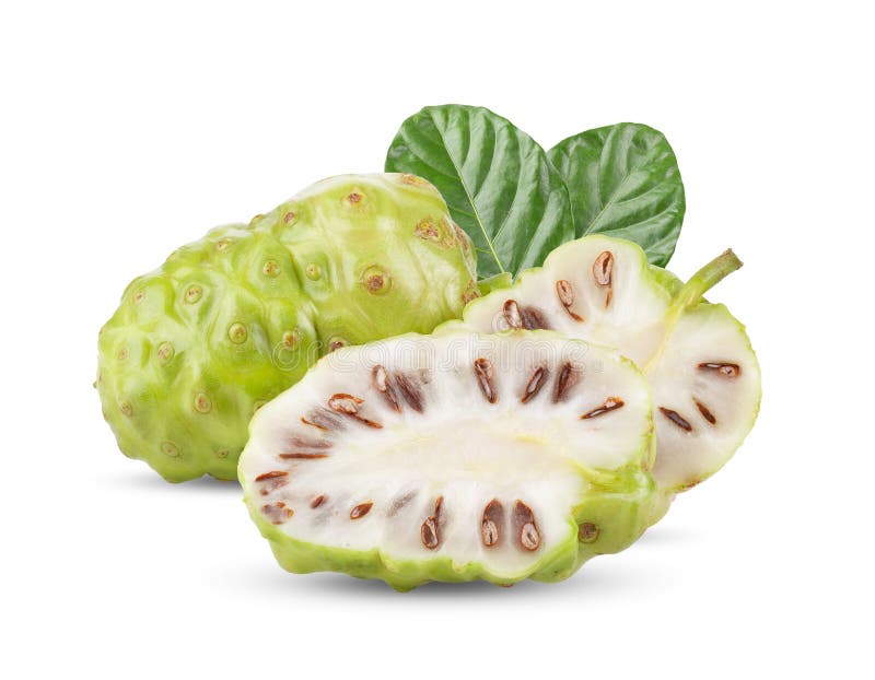 Noni Fruit with Leaf on White Background Stock Image - Image of healthy ...
