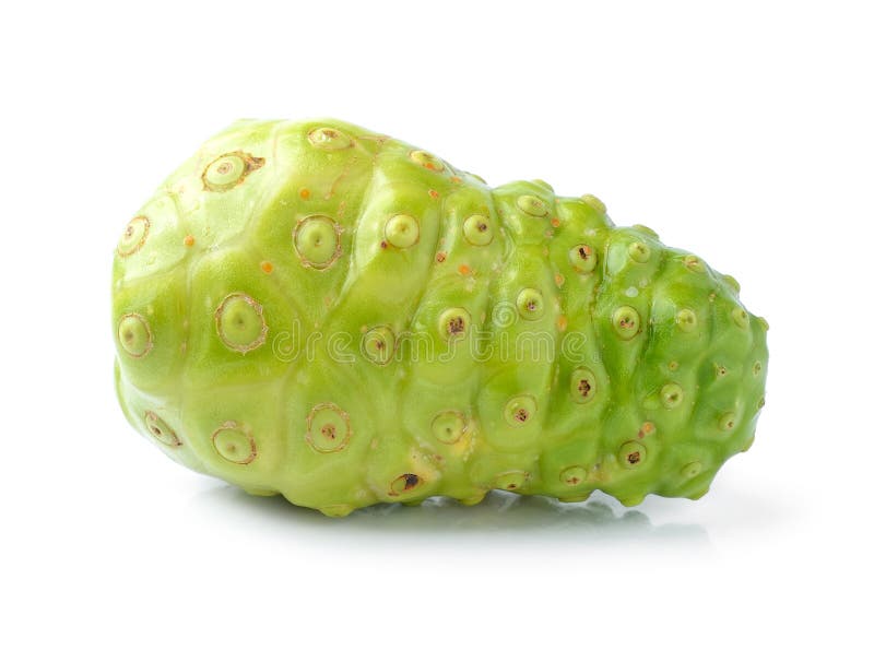 1,110 Noni Indian Mulberry Fruit Photos - Free & Royalty-Free Stock ...