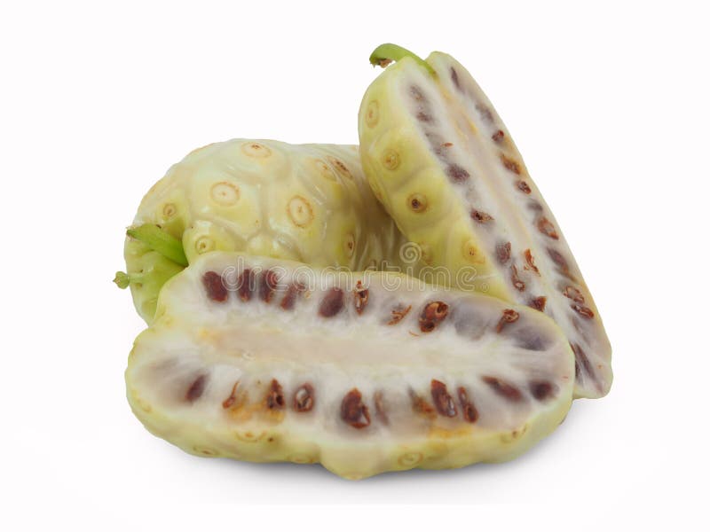 Noni stock photo. Image of noni, fresh, fruit, stem, morinda - 44420222