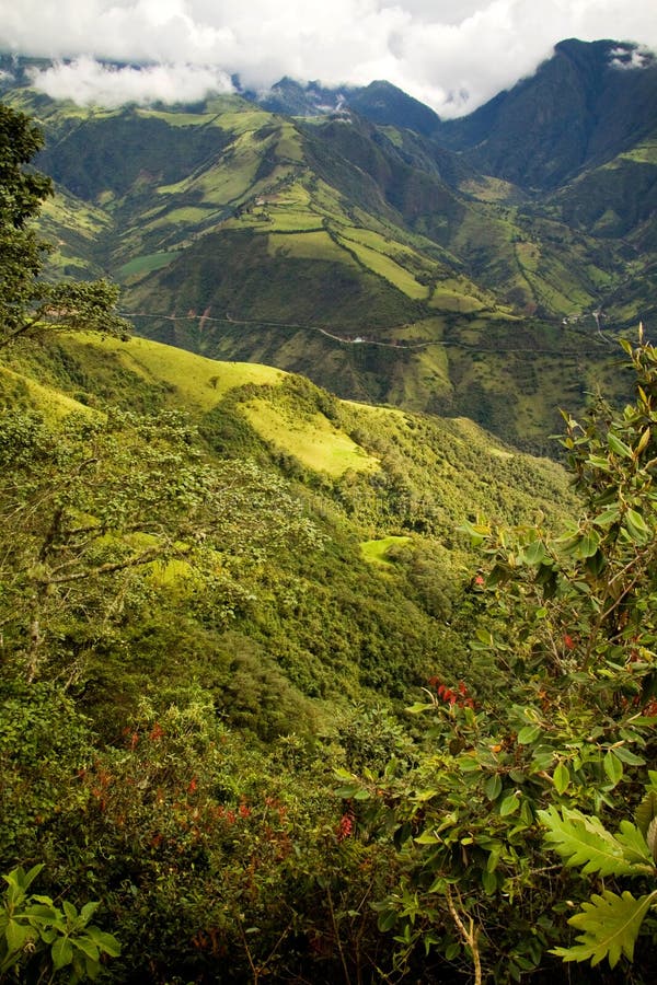 228 Nono Photos - Free & Royalty-Free Stock Photos from Dreamstime