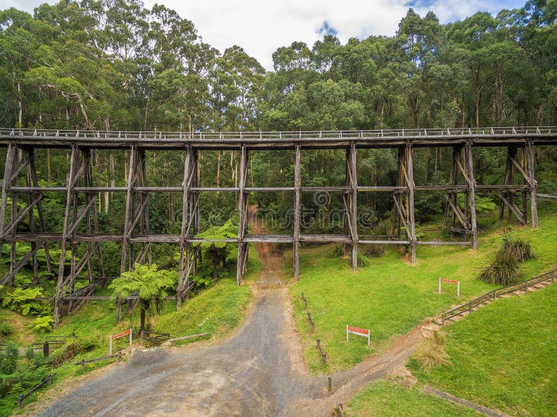 Noojee Old Trestle Bridge in Eucalyptus Forest. Stock Image - Image of ...