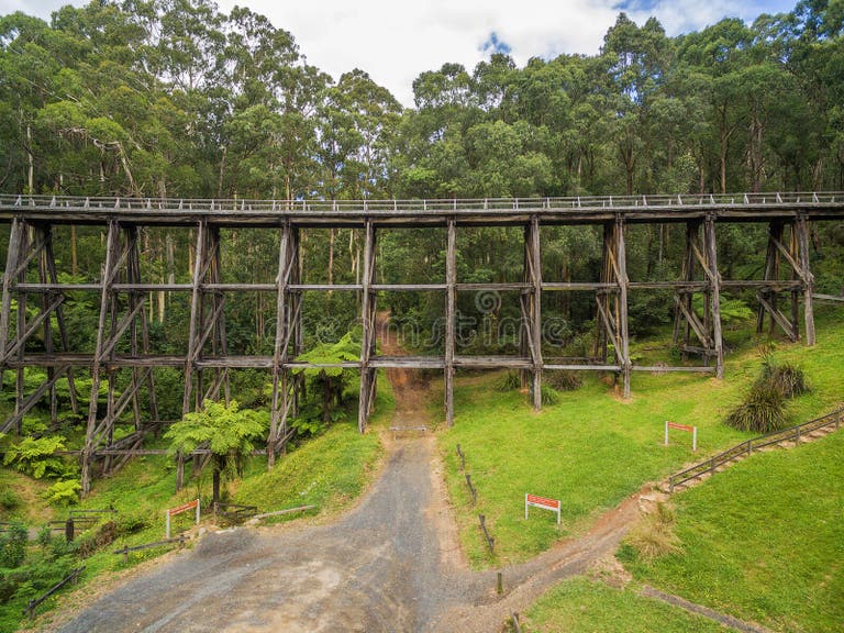 Noojee Old Trestle Bridge in Eucalyptus Forest. Stock Image - Image of ...