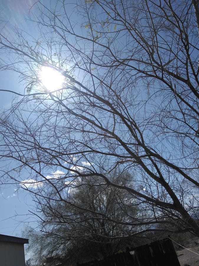 Bright winter noon stock image. Image of town, architecture - 1970347