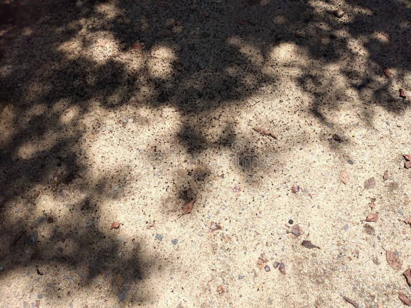 Noon Shadow on Ground Texture Stock Image - Image of midday, line ...