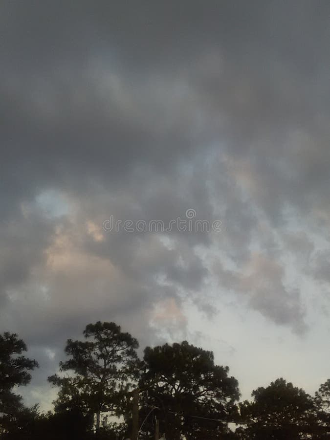 Noon sky stock photo. Image of noon, clouds, trees, beautiful - 119455036