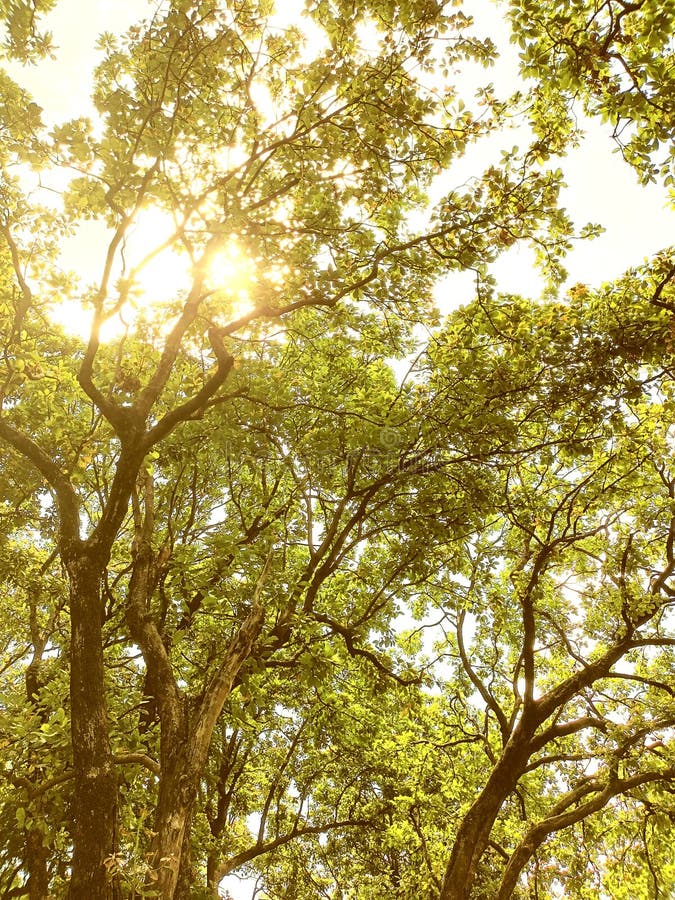 801 Good Noon Stock Photos - Free & Royalty-Free Stock Photos from ...