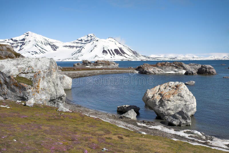 Noordpool De Zomerlandschap Stock Afbeelding - Image of water, winter ...