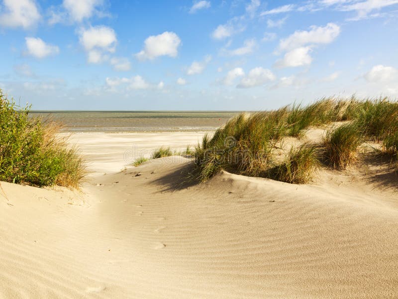 Noordzeestrand En Duinen, België Stock Foto - Image of noord, gras ...