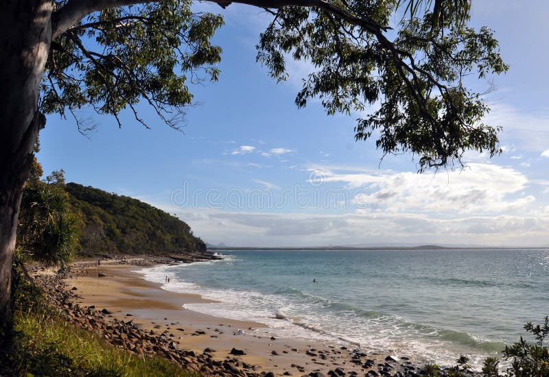 Noosa Beach - Queensland, Australia Stock Photo - Image of australia ...
