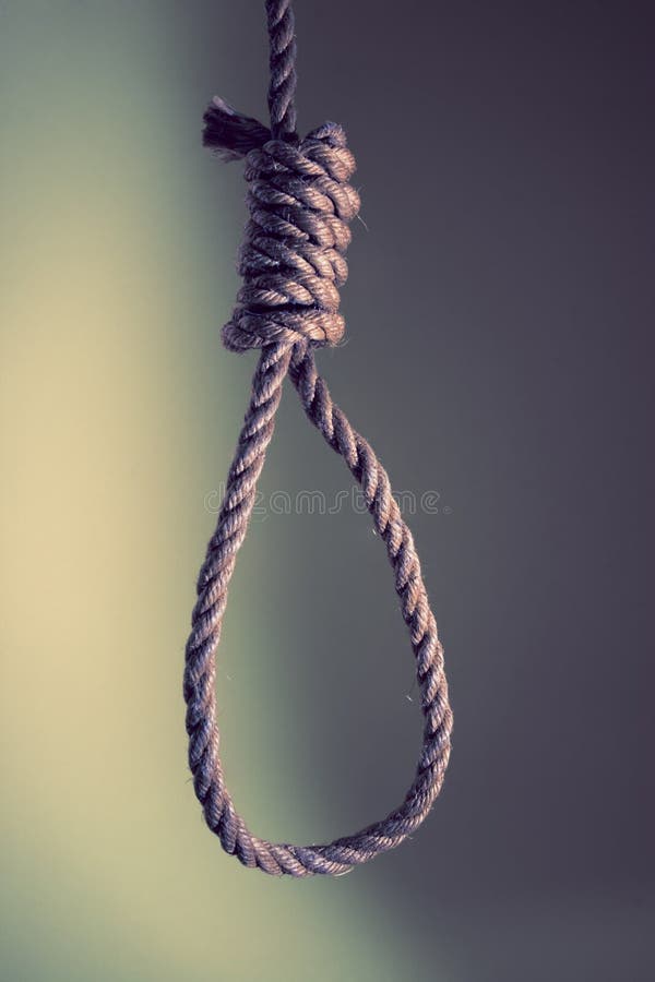 Noose stock image. Image of knot, suicide, rope, execution - 1011969