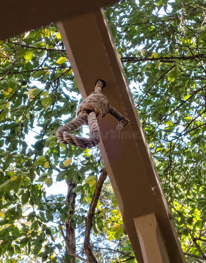 Gallows noose stock photo. Image of loop, tying, line - 9652670