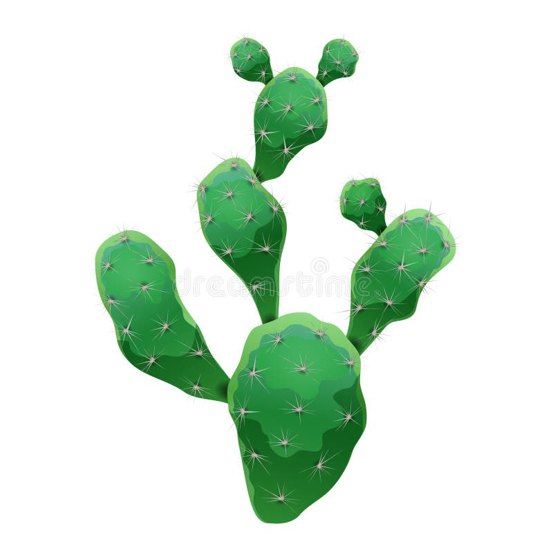Nopal Stock Illustrations – 308 Nopal Stock Illustrations, Vectors ...