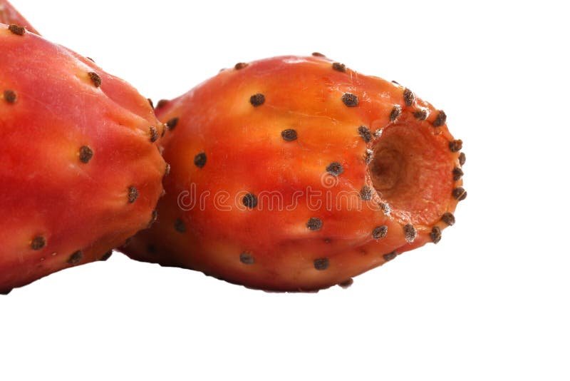 Nopal or Cactus White Background Macro Stock Photo - Image of sweet ...