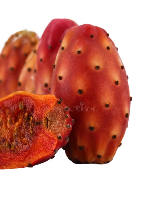 171 Nopal Cut Nopal White Background Stock Photos - Free & Royalty-Free ...