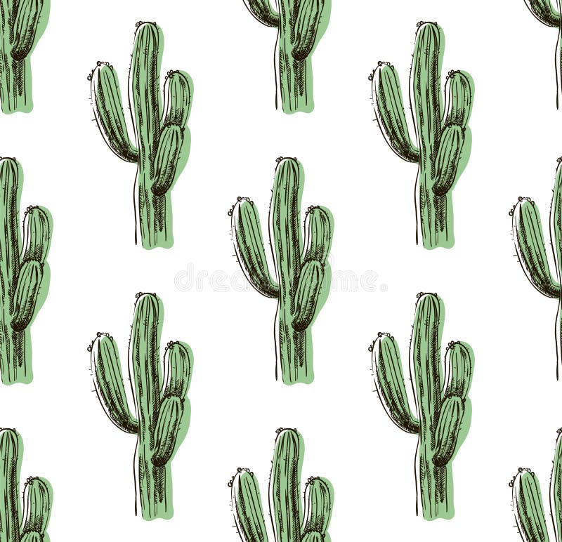 Nopal Stock Illustrations – 152 Nopal Stock Illustrations, Vectors ...