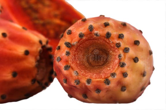 Nopal White Background Macro Stock Image - Image of multi, fruit: 47430337