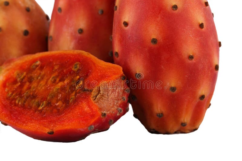 Nopal White Background and Macro Stock Image - Image of succulent ...