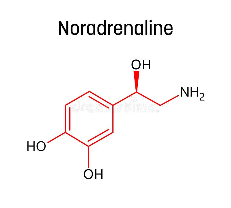 Noradrenaline Structural Formula of Molecular Structure Stock ...