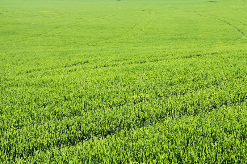 Nordic spring stock photo. Image of landscape, finnish - 21413818