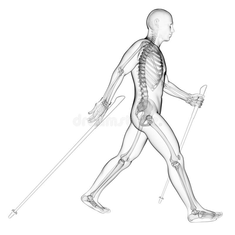 Wrong sitting posture stock illustration. Illustration of improper ...