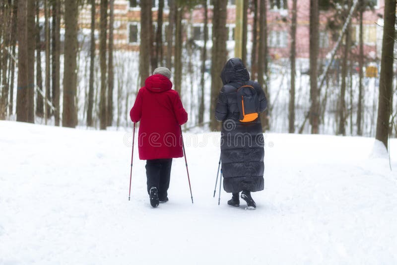 Nordic Walking.Elderly Women Walking in the Winter Park Stock Image ...