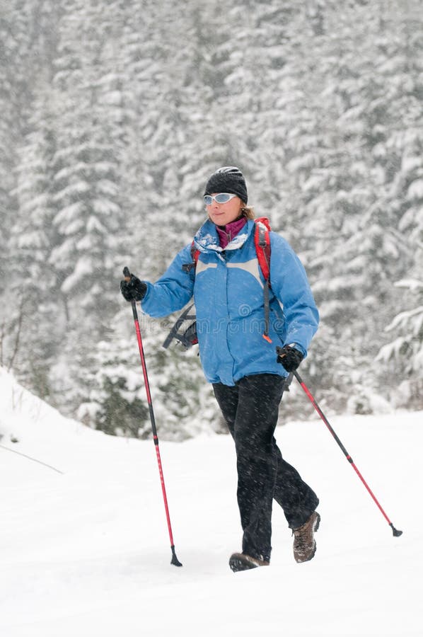 Nordic walking in snow stock image. Image of active, lifestyle - 15900313