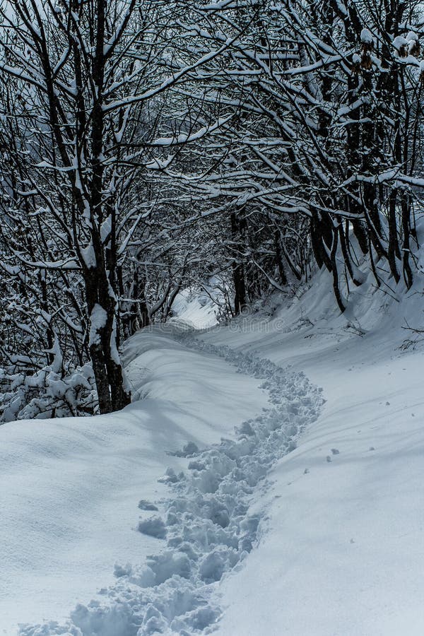 Snow Pathway in Country Village Stock Photo - Image of landscape, izba ...