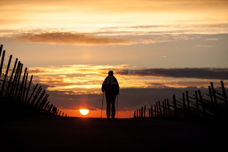 Man Walking Off into Sunset Stock Photo - Image of person, lone: 17141770