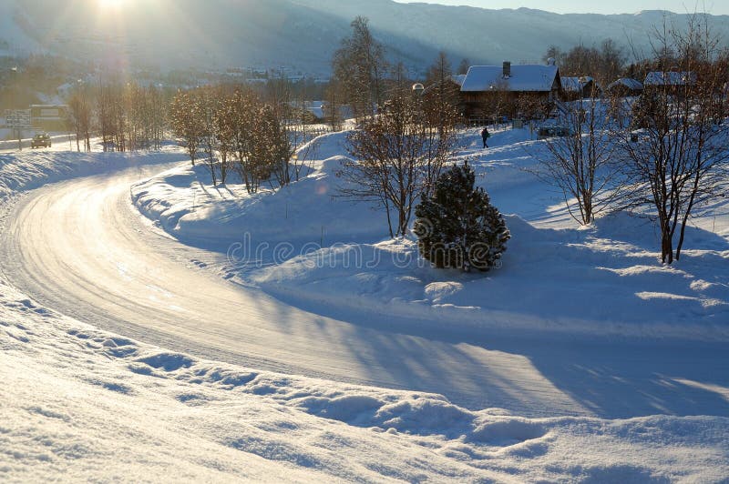 The nordic winter stock image. Image of geilo, plant - 12684705
