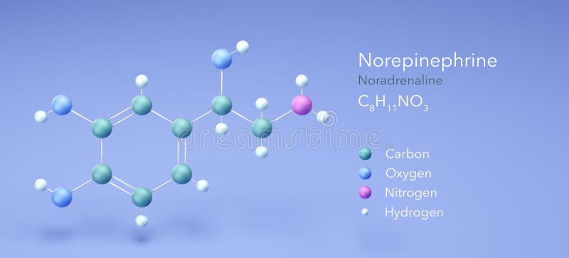 Norepinephrine Molecular Structures, Noradrenaline 3d Model, Structural ...