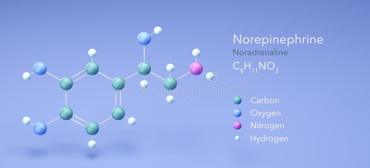 Model Norepinephrine Stock Illustrations – 110 Model Norepinephrine ...