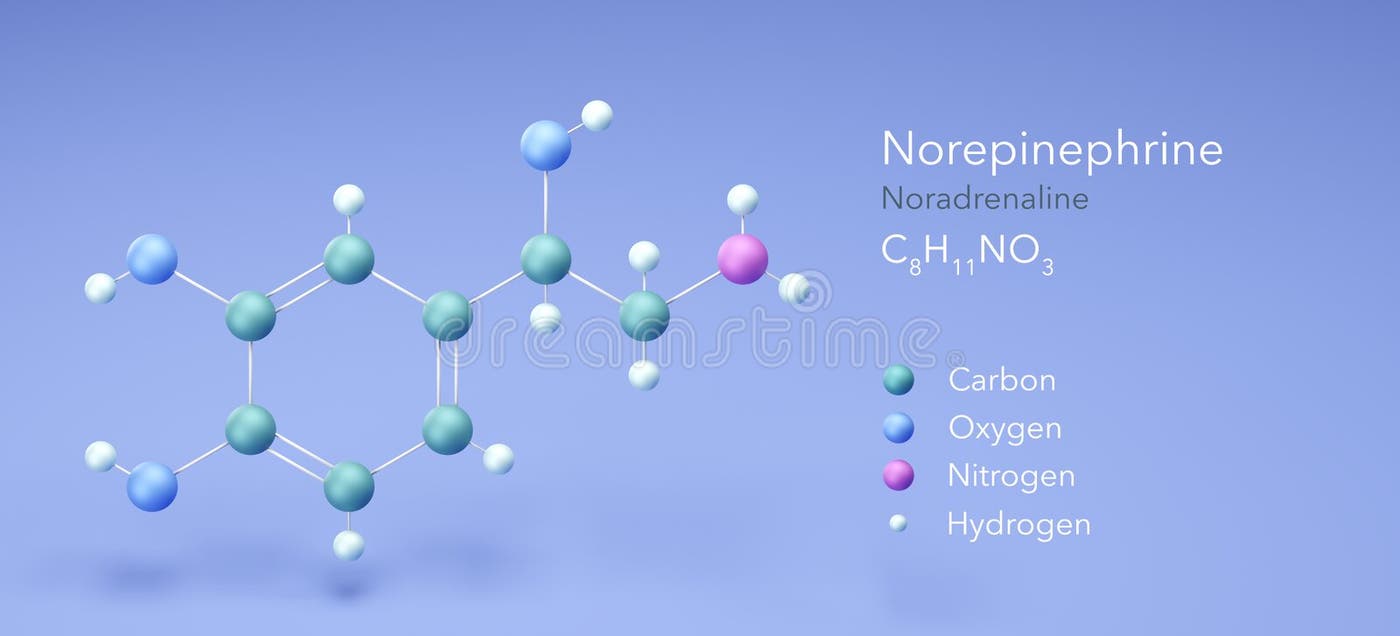 Model Norepinephrine Stock Illustrations – 110 Model Norepinephrine ...