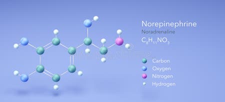 Norepinephrine Molecular Structures, Noradrenaline 3d Model, Structural ...